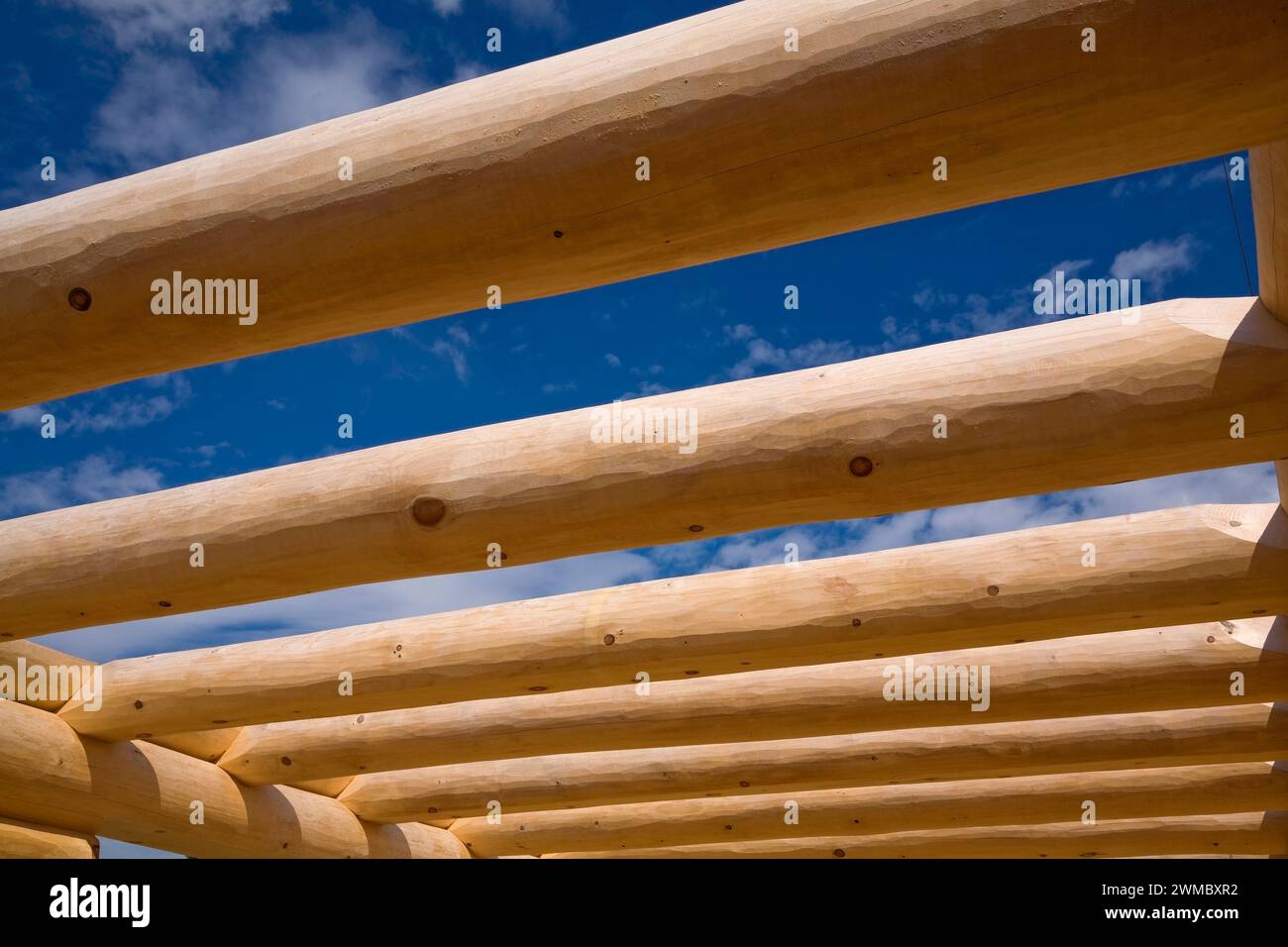 Large white pine log hi-res stock photography and images - Alamy