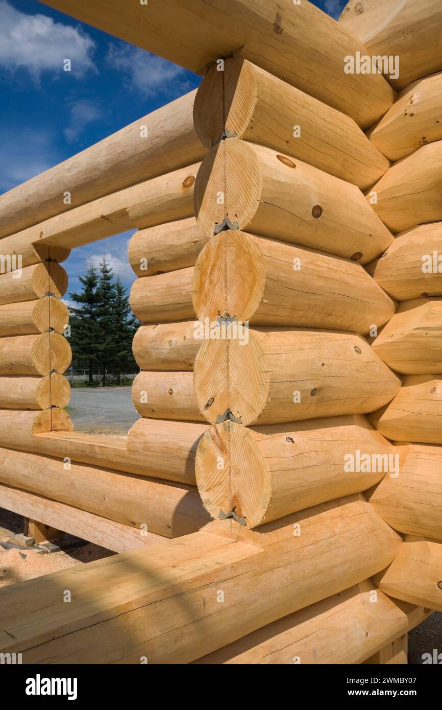 Unfinished Scandinavian Eastern white pine log cabin erected on builder ...