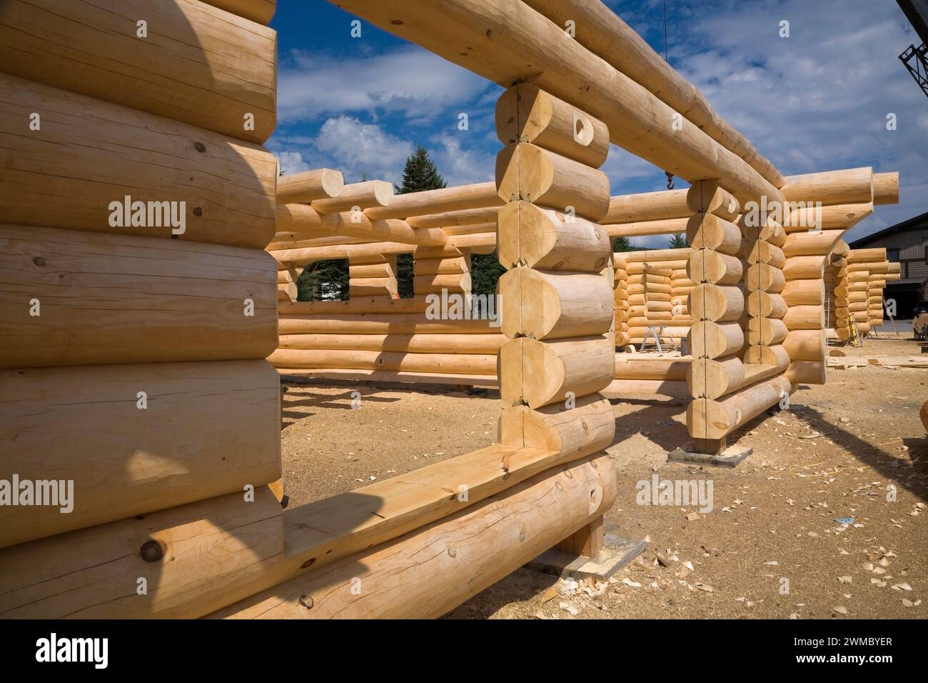 Unfinished Scandinavian Eastern white pine log cabins erected on ...