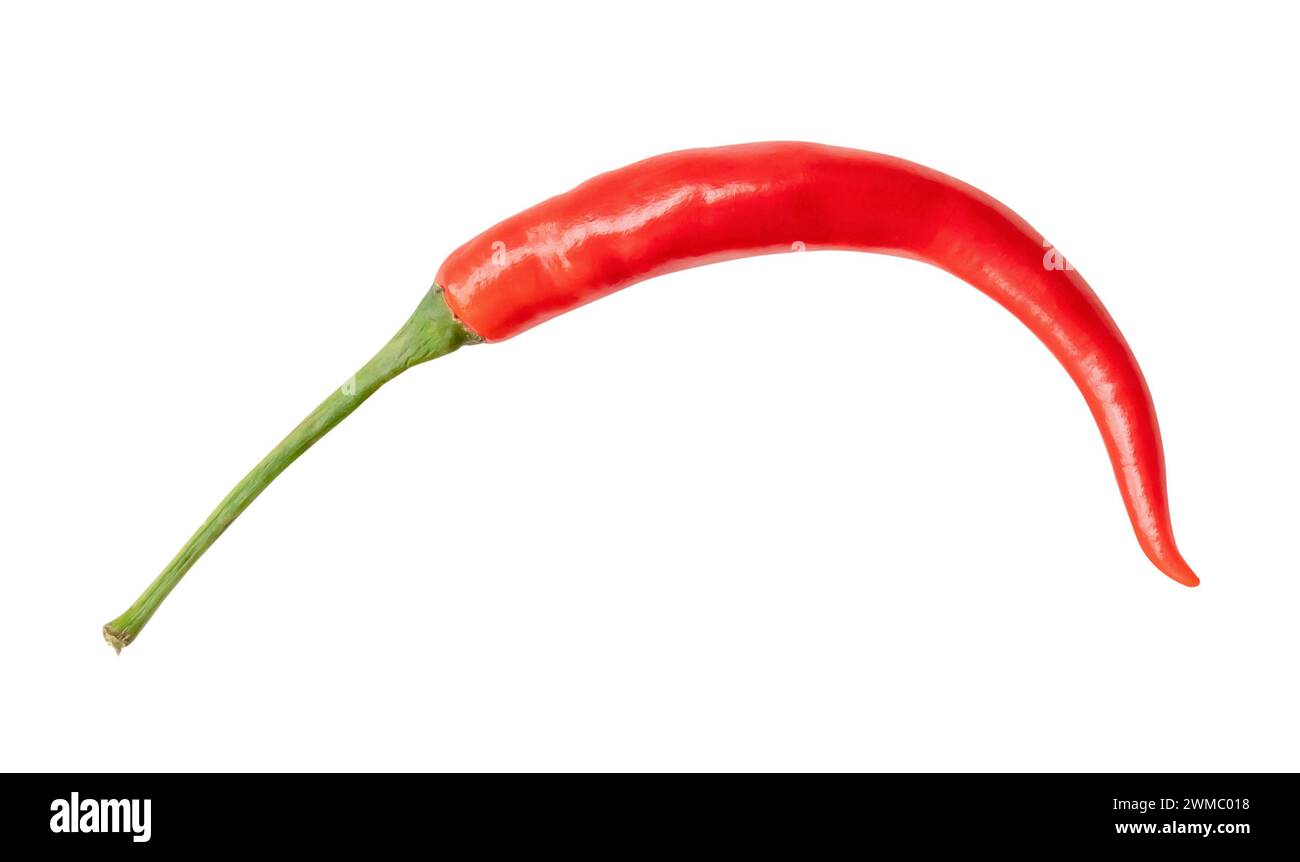 Top view of single curved fresh red chili pepper is isolated on white ...