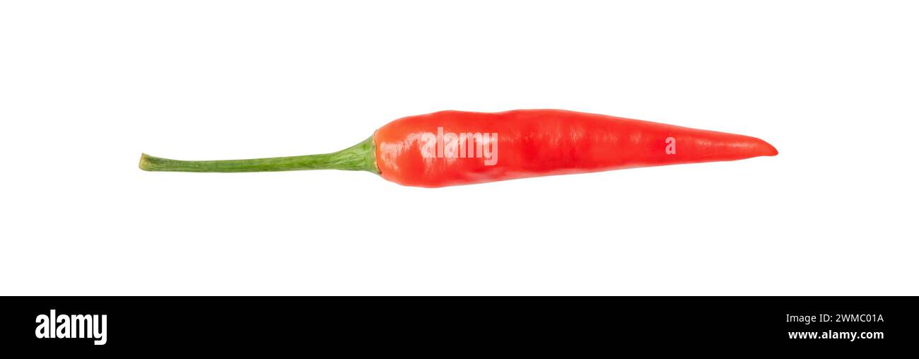 Top view and flat lay of single fresh red chili pepper is isolated on ...