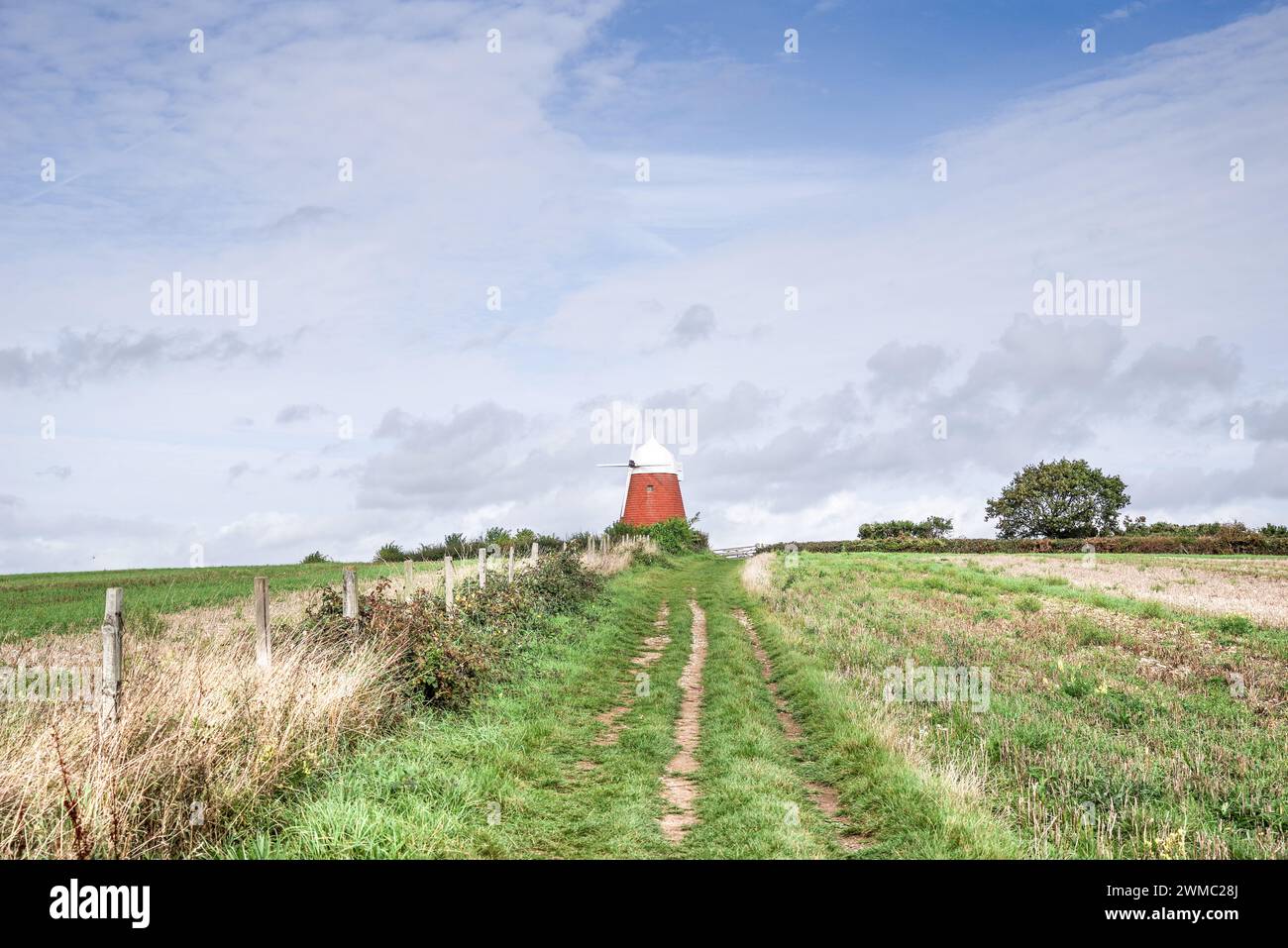 Halnaker Windmill hidden in the fields near Chichester in the West ...