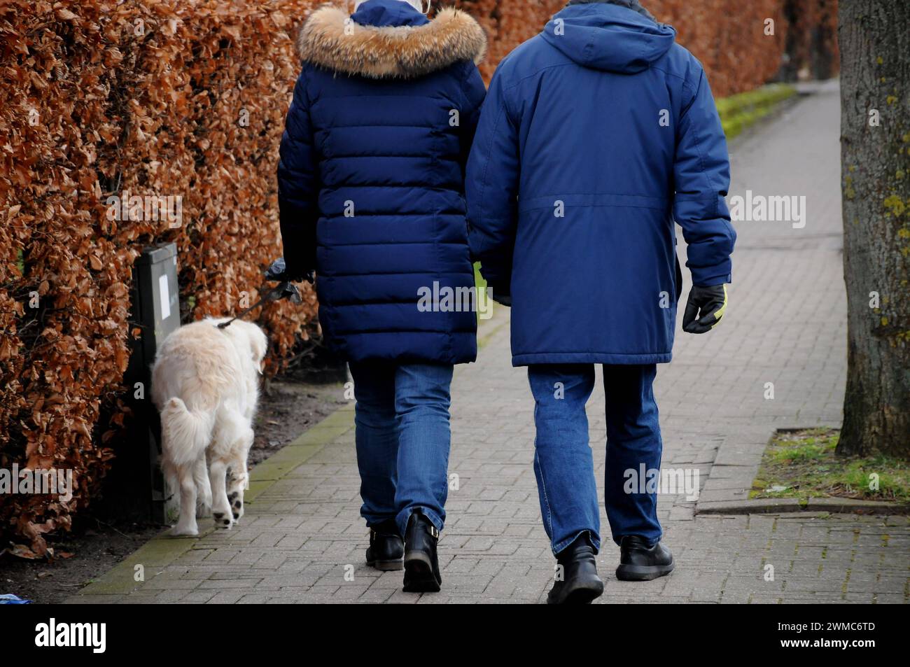 Copenhagen, Denmark /25 February 2024/. seniors walk pets in danish ...