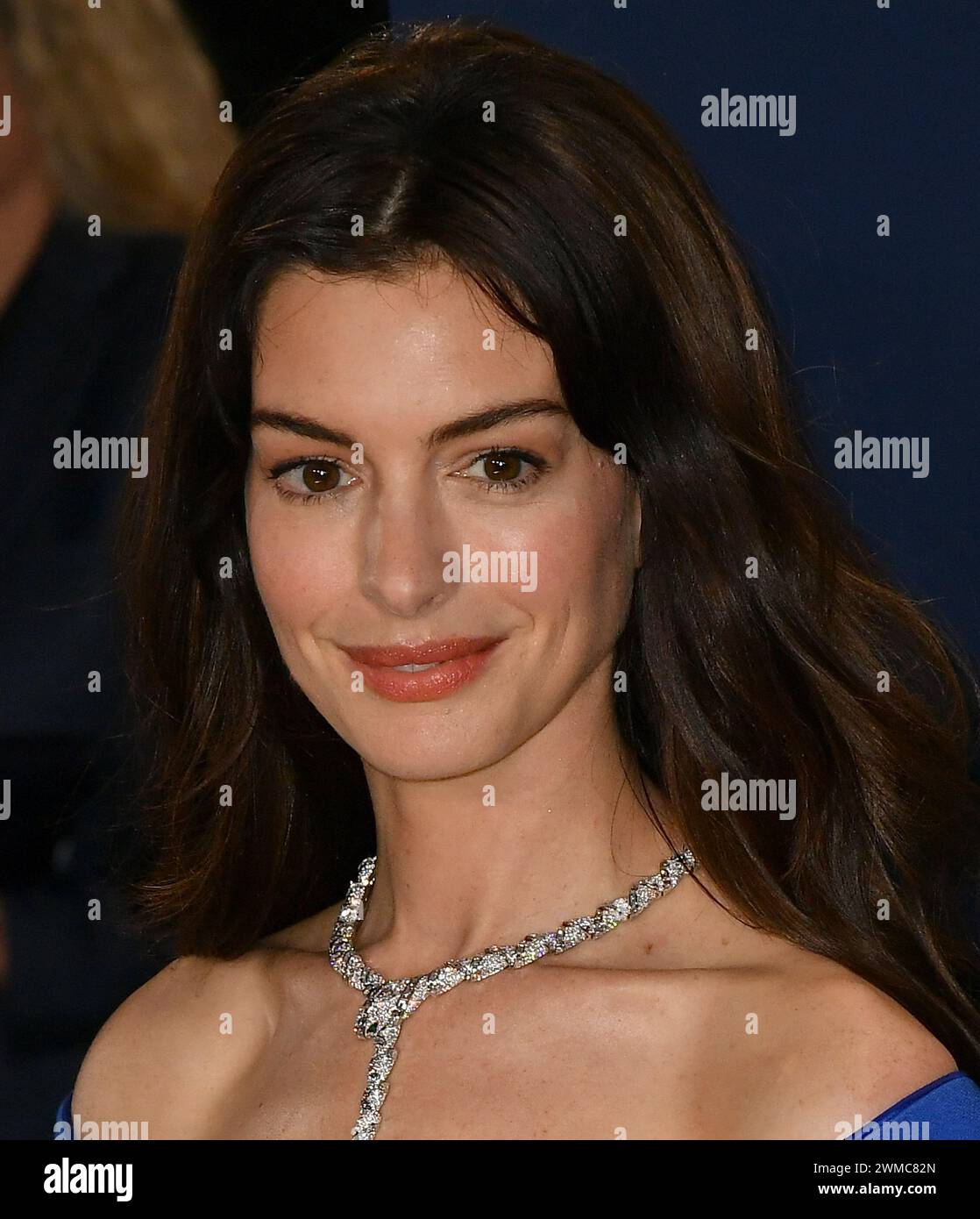 Anne Hathaway attends the 30th Annual Screen Actors Guild Awards at ...