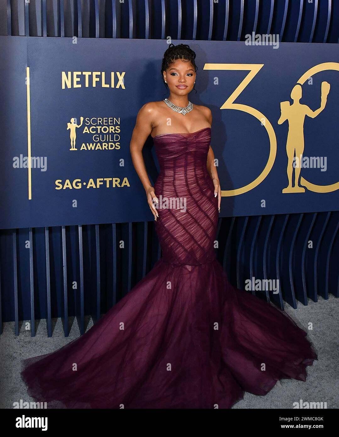 Los Angeles, USA. 25th Feb, 2024. Halle Bailey attends the 30th Annual ...