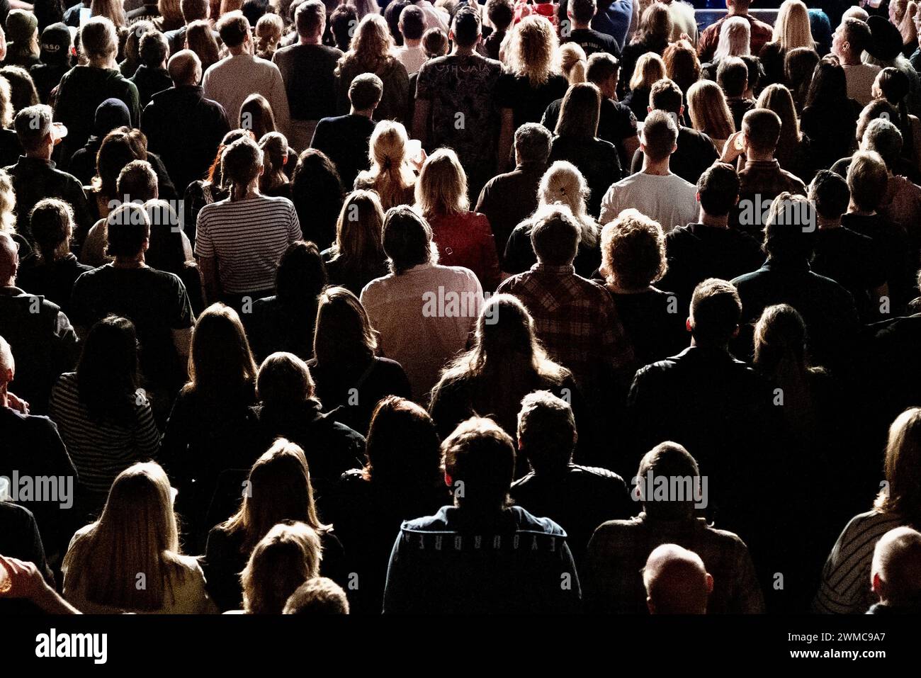 People at a live concert Stock Photo - Alamy