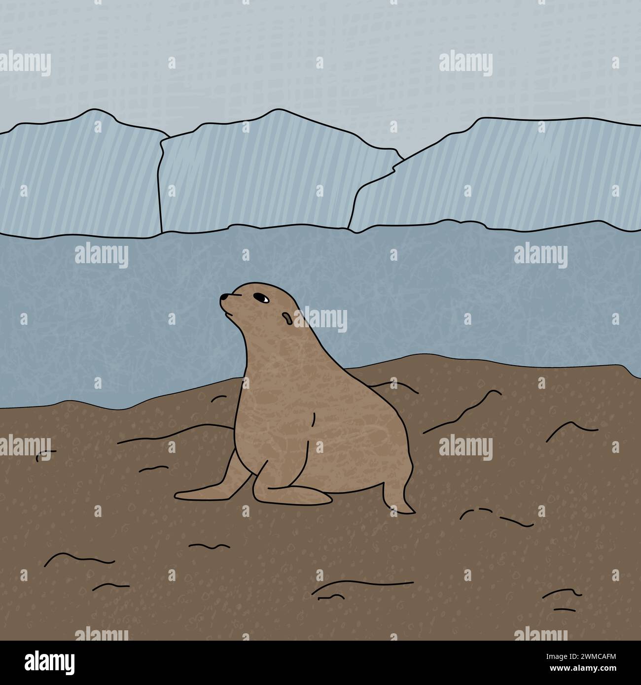 Hand drawn vector fur seal illustration. Cartoon outline animal of ...