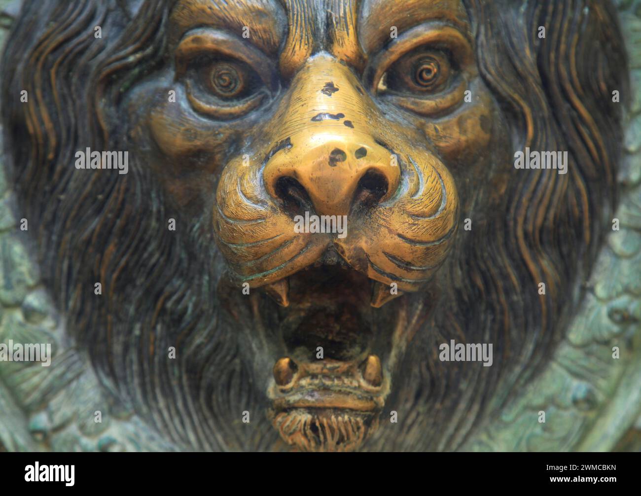 Bronze lion head. Mascaron, bas-relief, high relief of an animal in ...