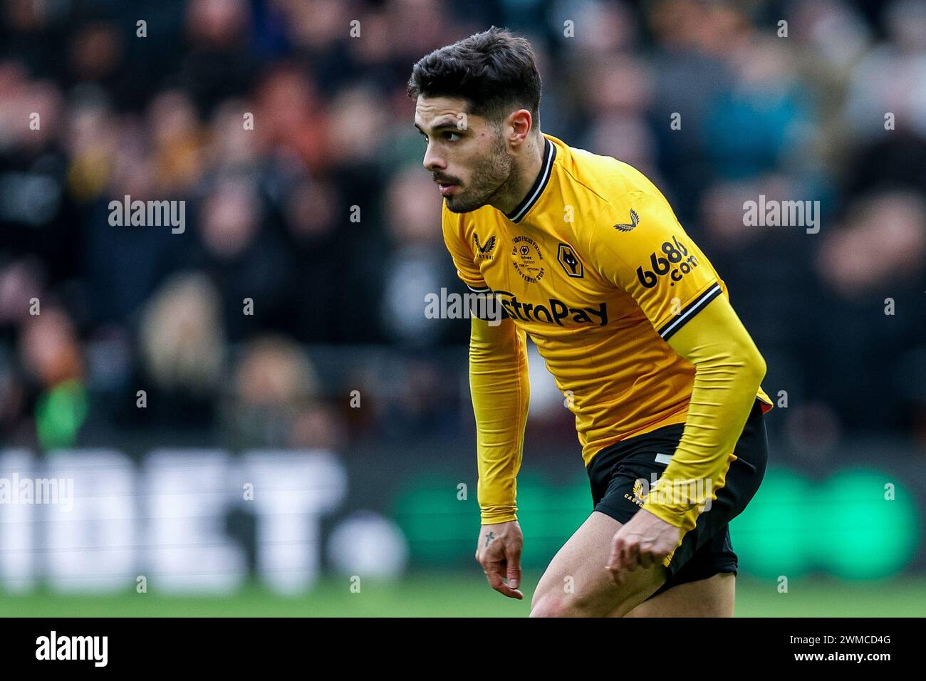 Pedro neto wolves 2024 hi-res stock photography and images - Alamy