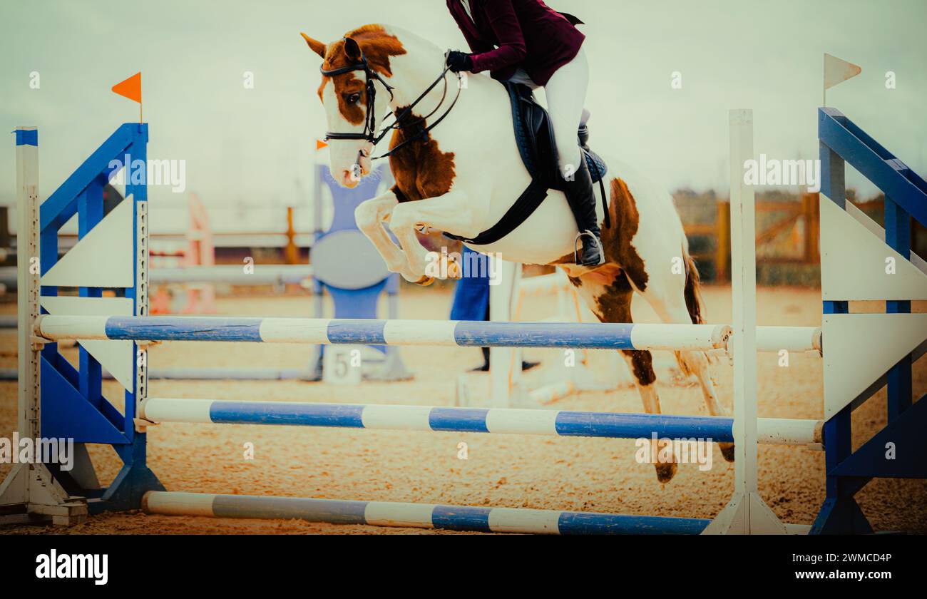 A beautiful horse leaps over a high obstacle at equestrian competitions ...