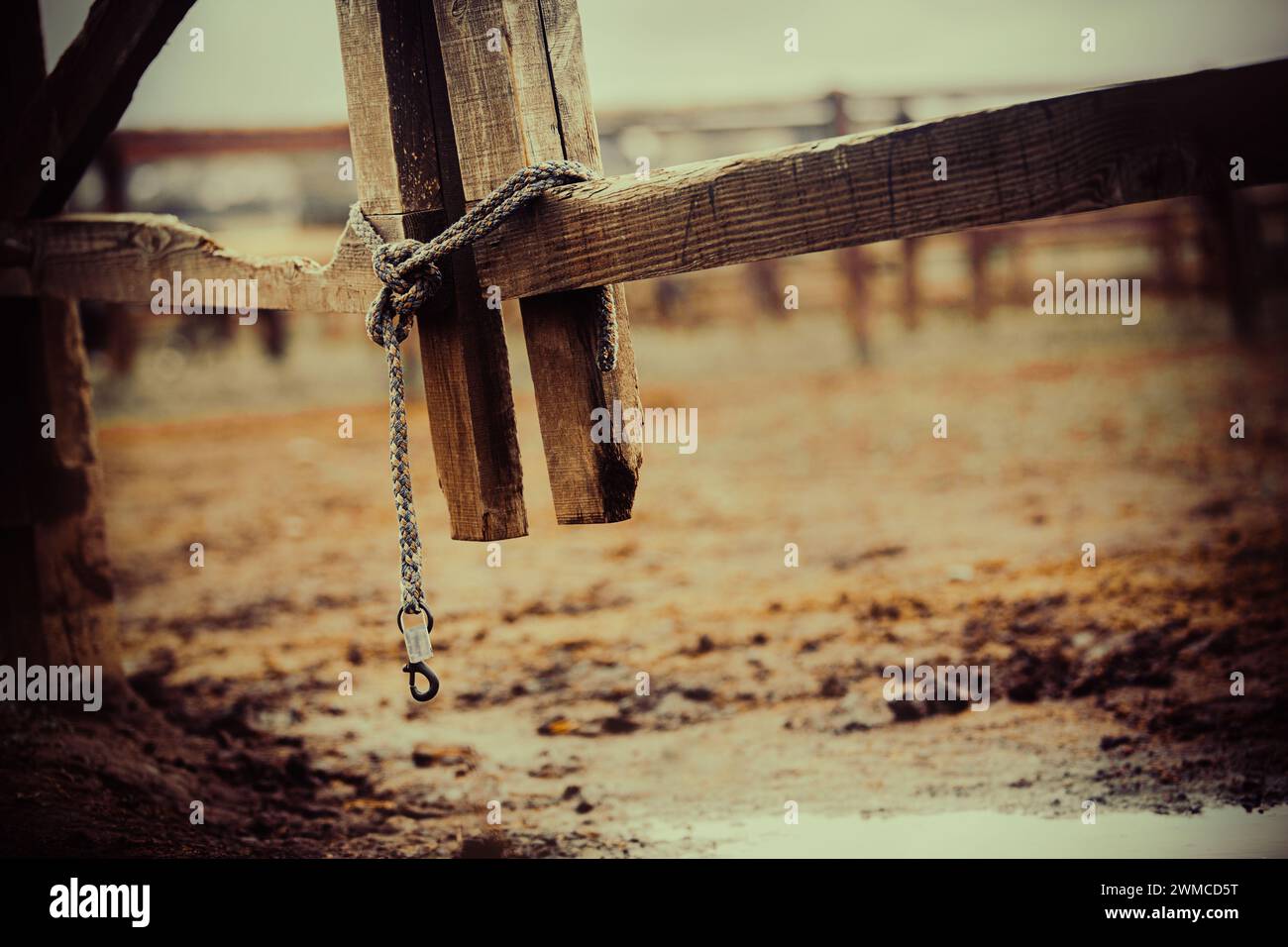 Rope knot at the pasture fence hi-res stock photography and images - Alamy