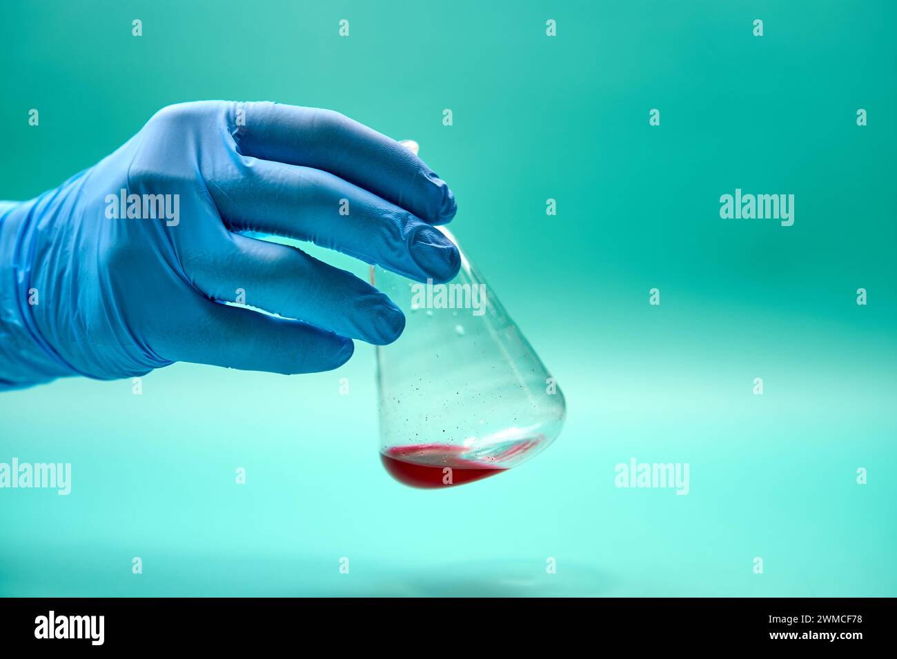 Hand of anonymous doctor in latex glove holding conical flask with red ...