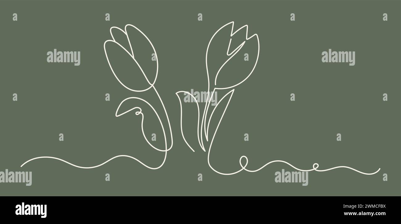 Tulip line art hi-res stock photography and images - Alamy