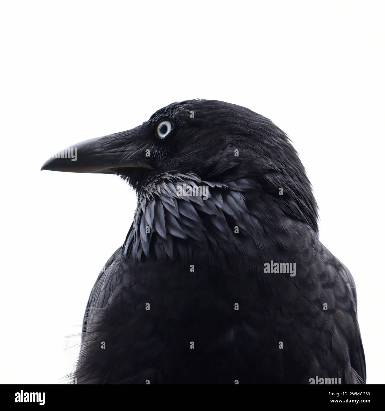 Public body image hi-res stock photography and images - Alamy