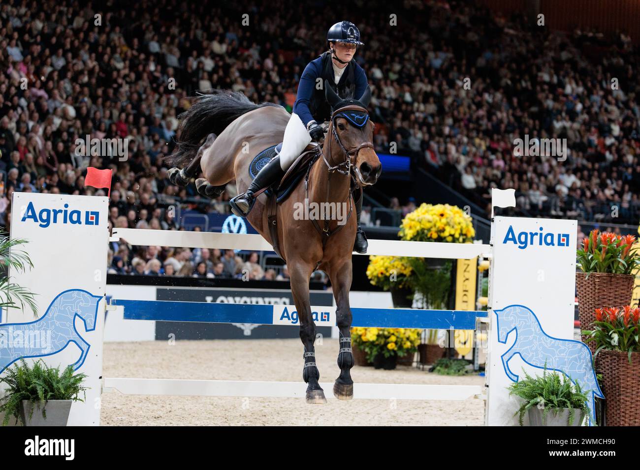 Gothenburg, Sweden. 25th Feb, 2024. Jessica Burke of Ireland with Nikey ...