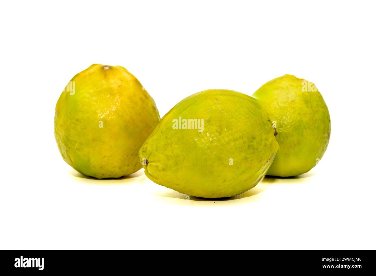 Three guavas isolated on a white background Stock Photo - Alamy