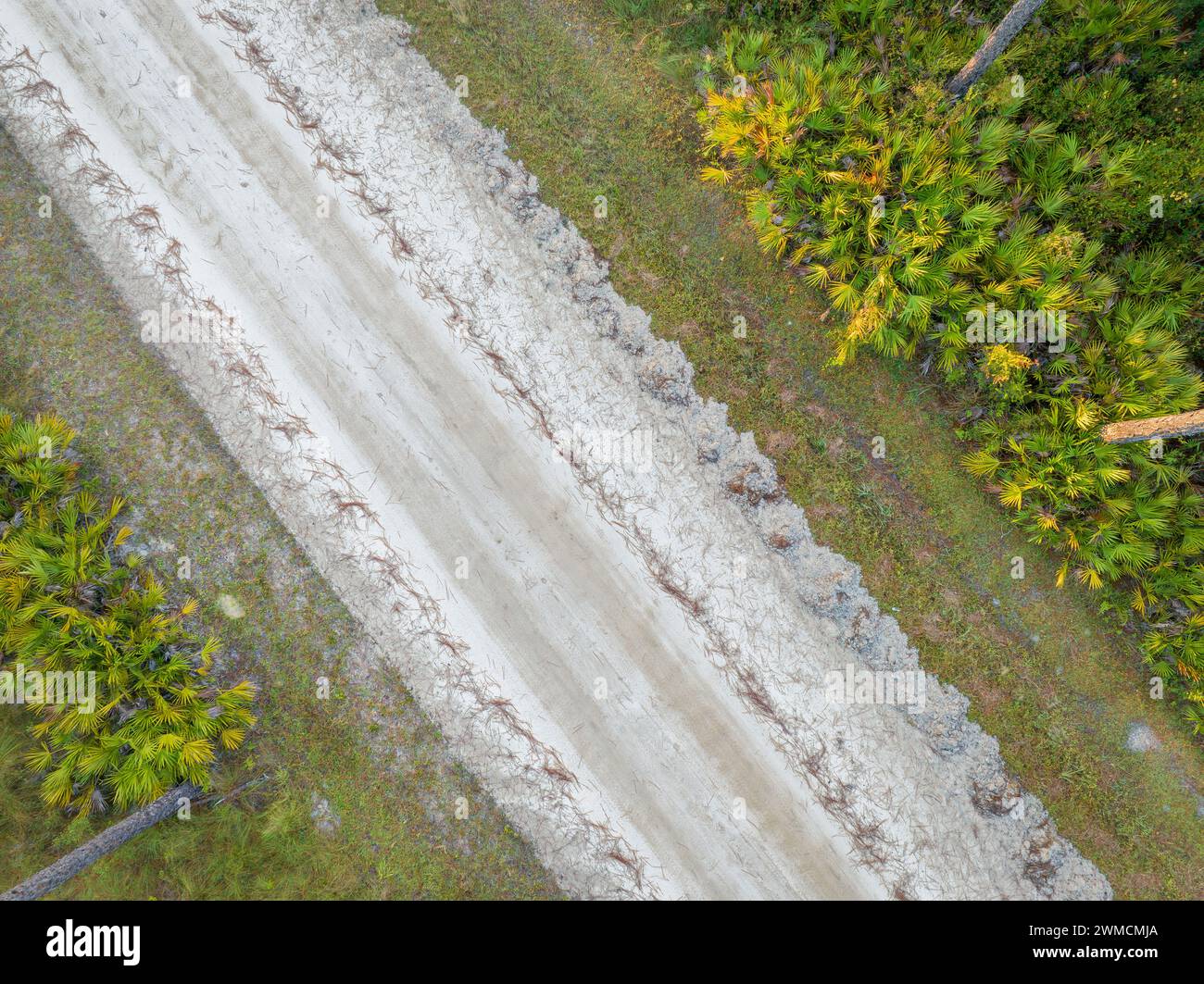 sandy road at sunrise - Apalachicola National Forest in Florida, aerial ...