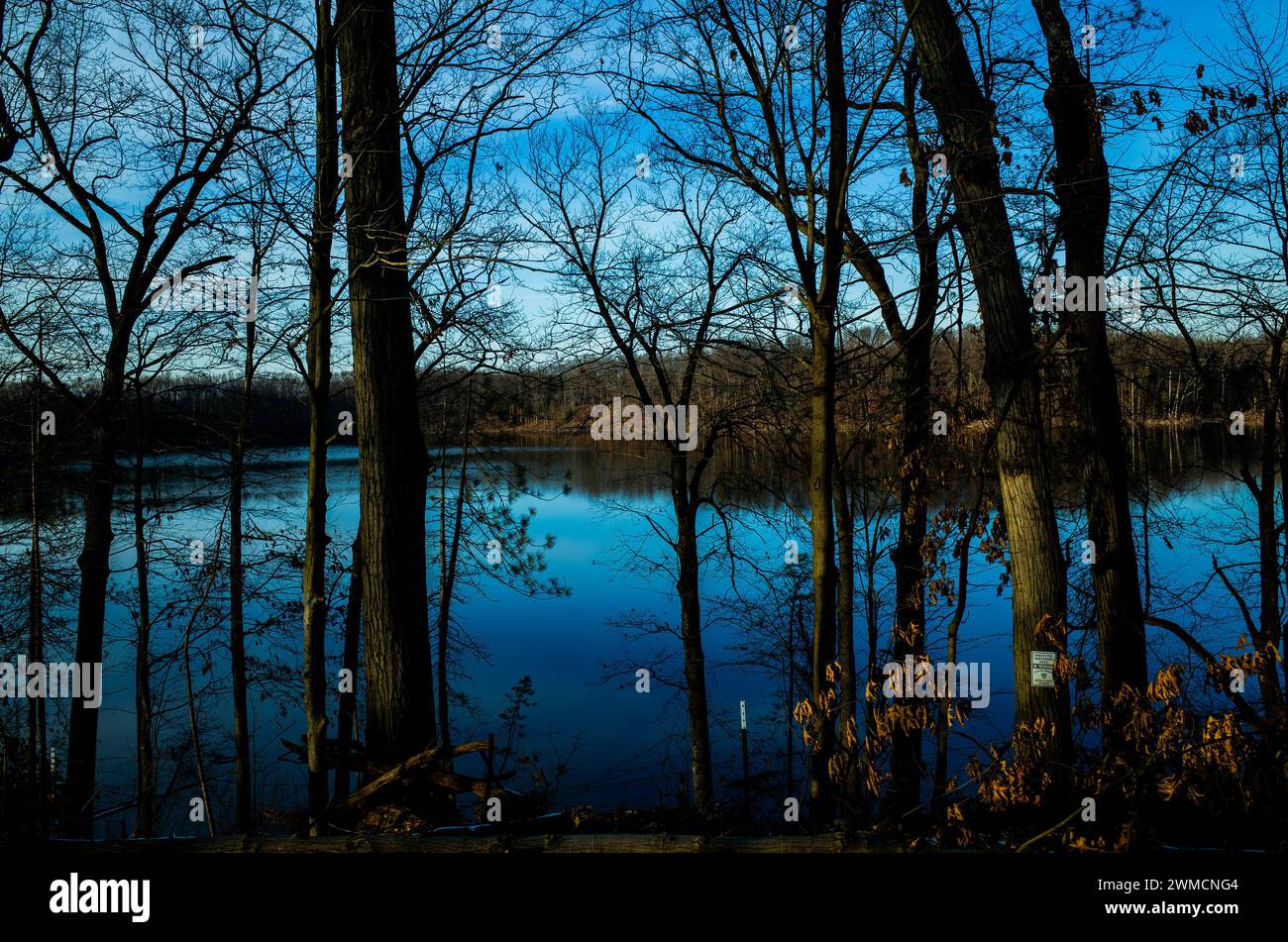 Serene companion hi-res stock photography and images - Alamy