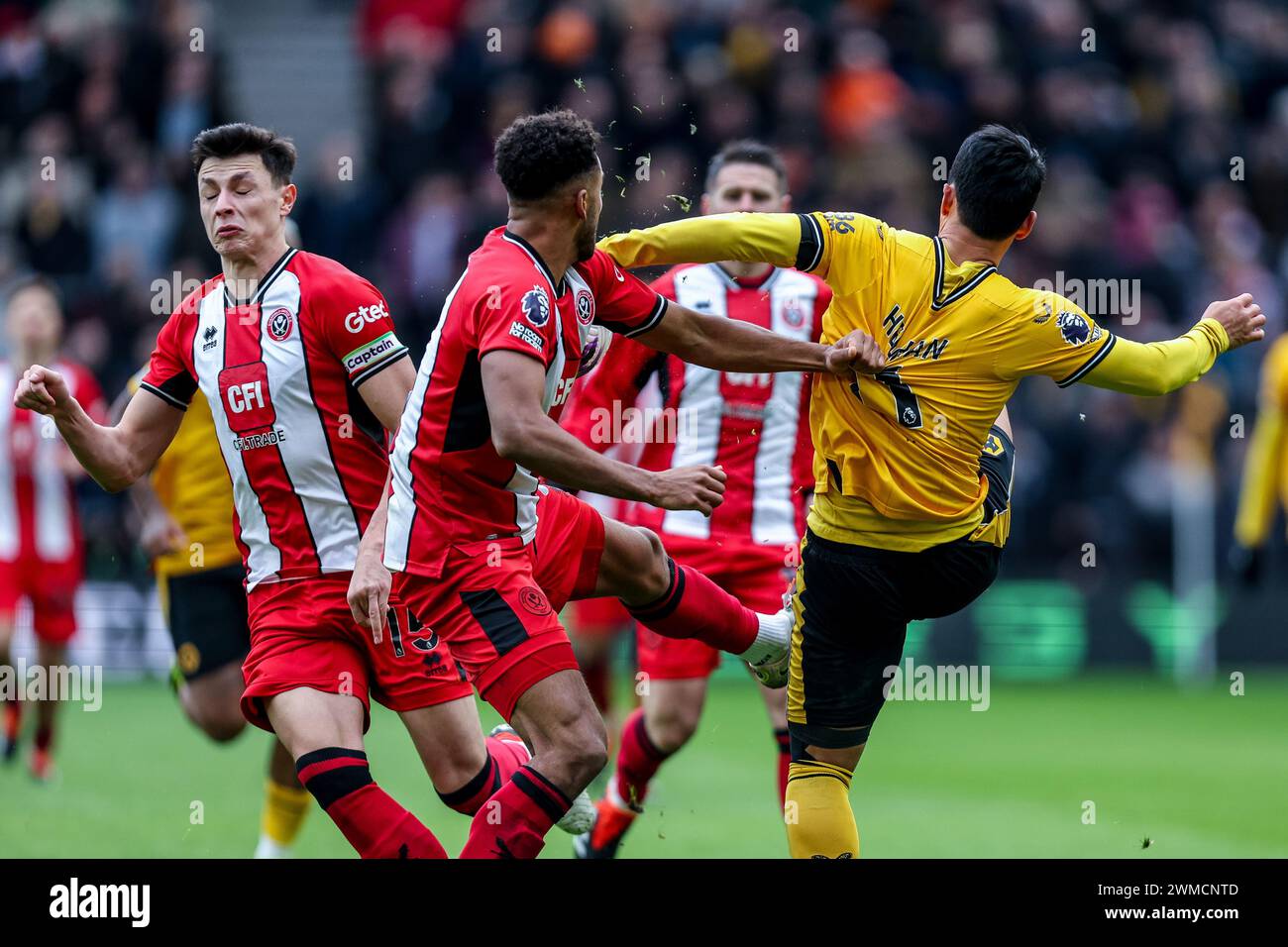 Hwang hee chan wolves hi-res stock photography and images - Alamy