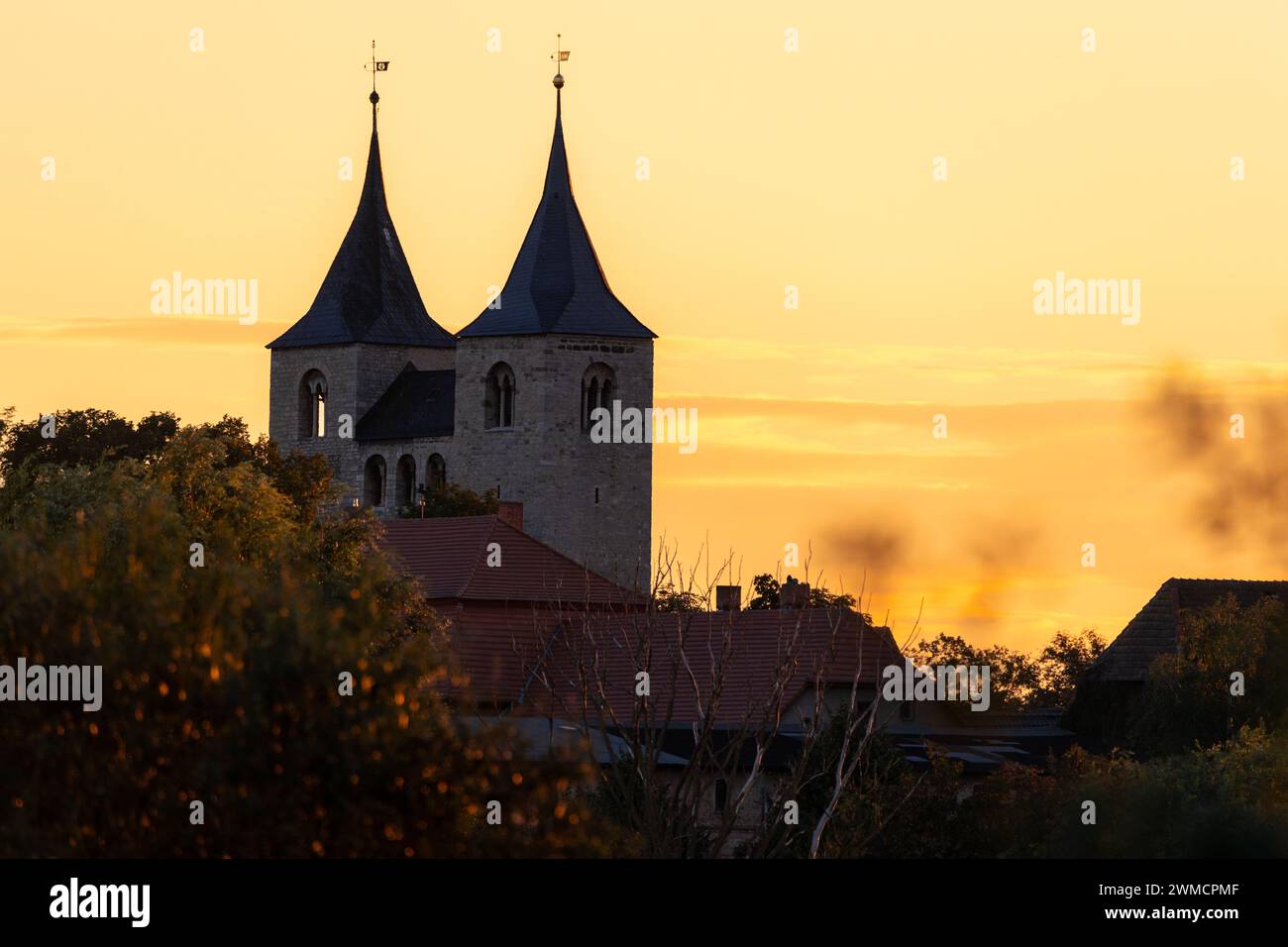 Froser see hi-res stock photography and images - Alamy