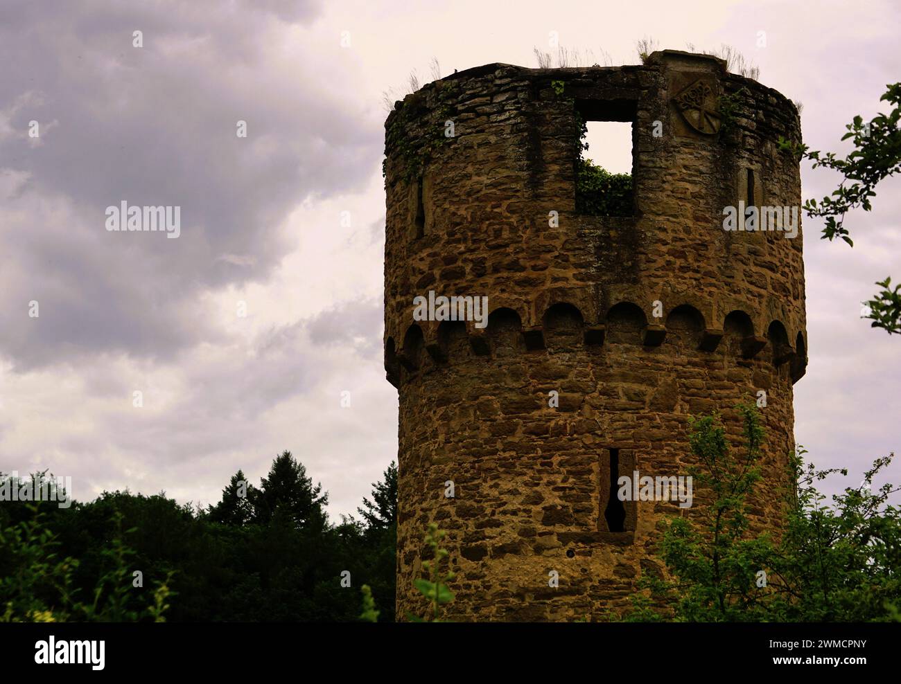 Atmospheric lush greenery hi-res stock photography and images - Alamy