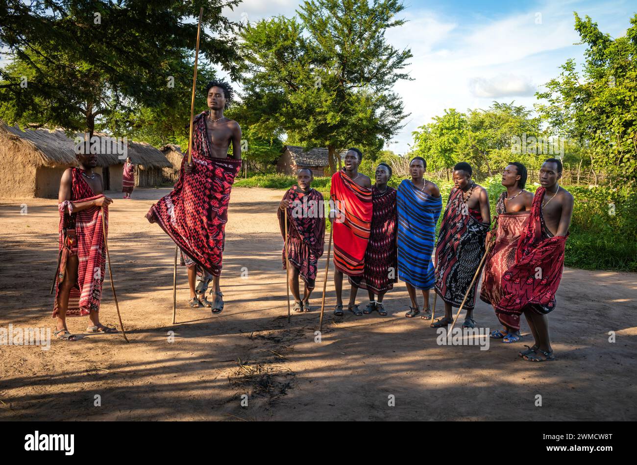 A group of Maasai warriors sing and perform the traditional jumping ...