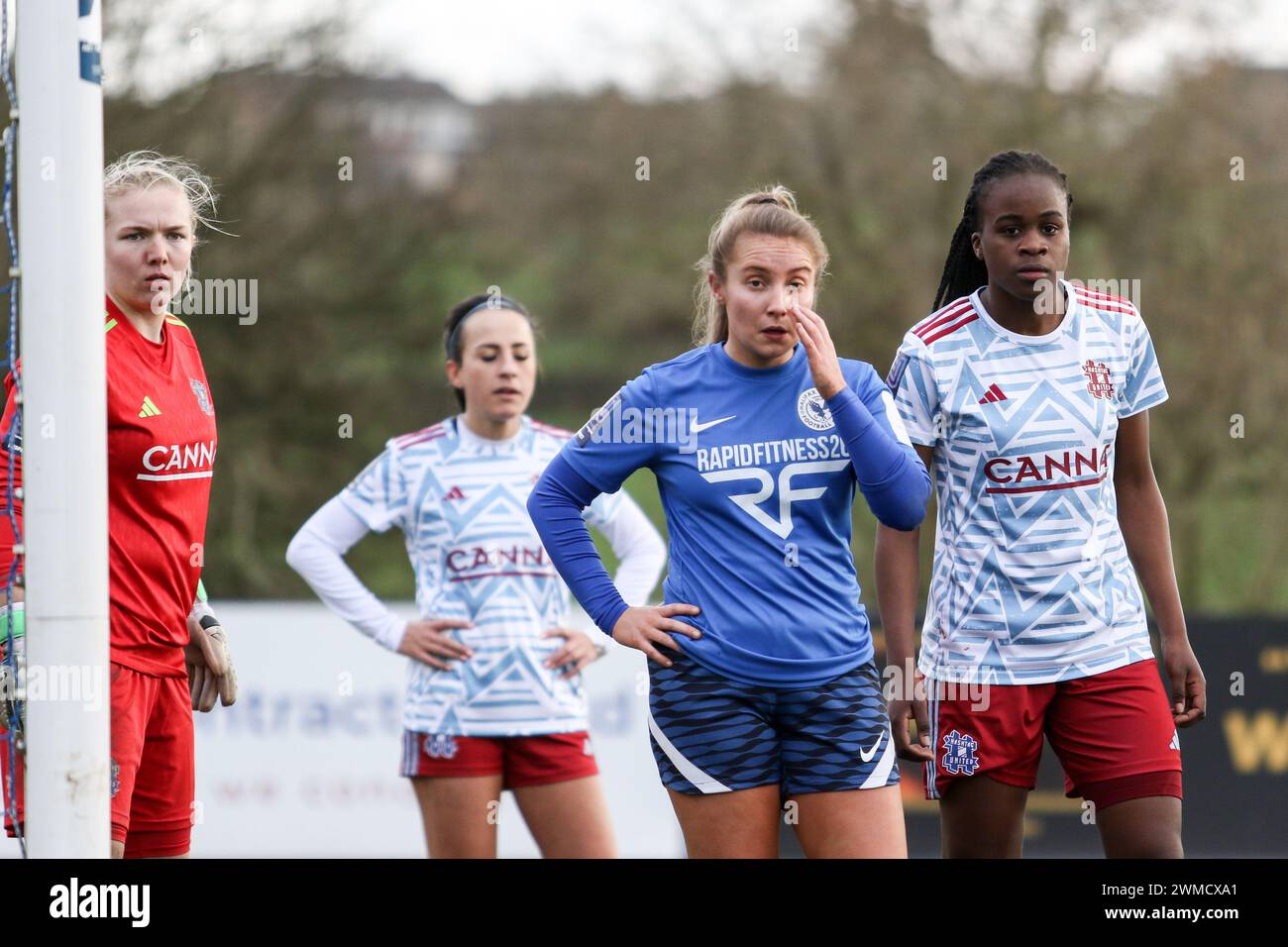 Darcie greene hi-res stock photography and images - Alamy