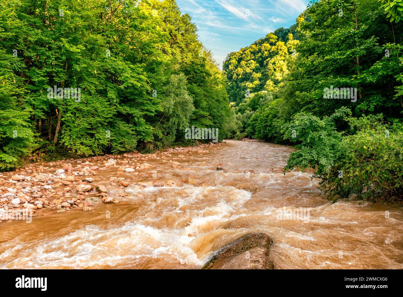 Landscape of the river arising from the deep mountain gorge Stock Photo ...