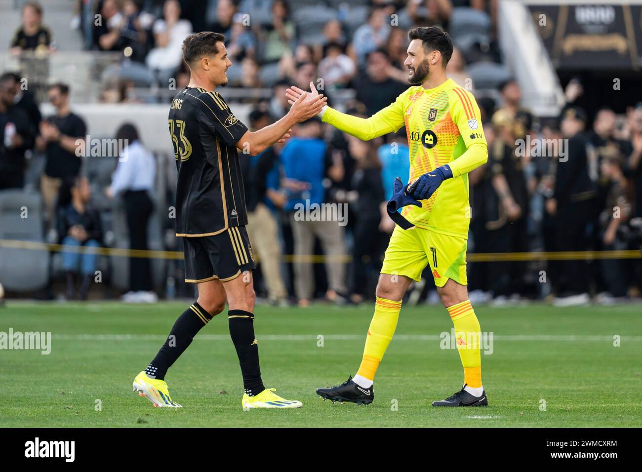 Hugo lloris futbol hi-res stock photography and images - Alamy