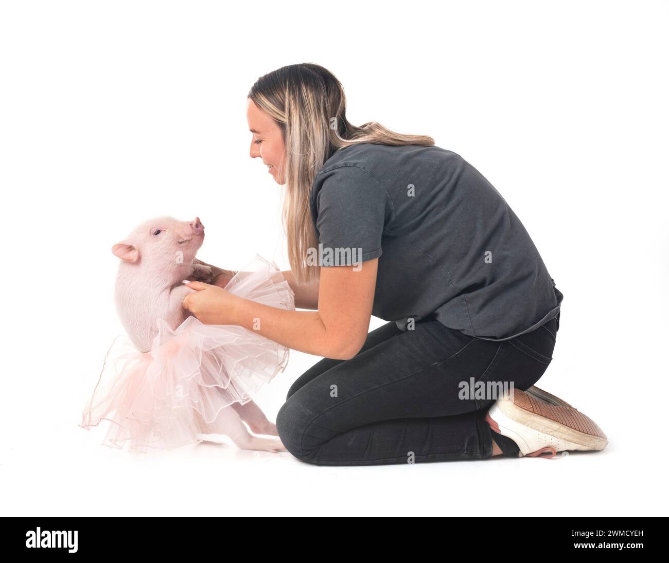 pink miniature pig and woman in front of white background Stock Photo ...