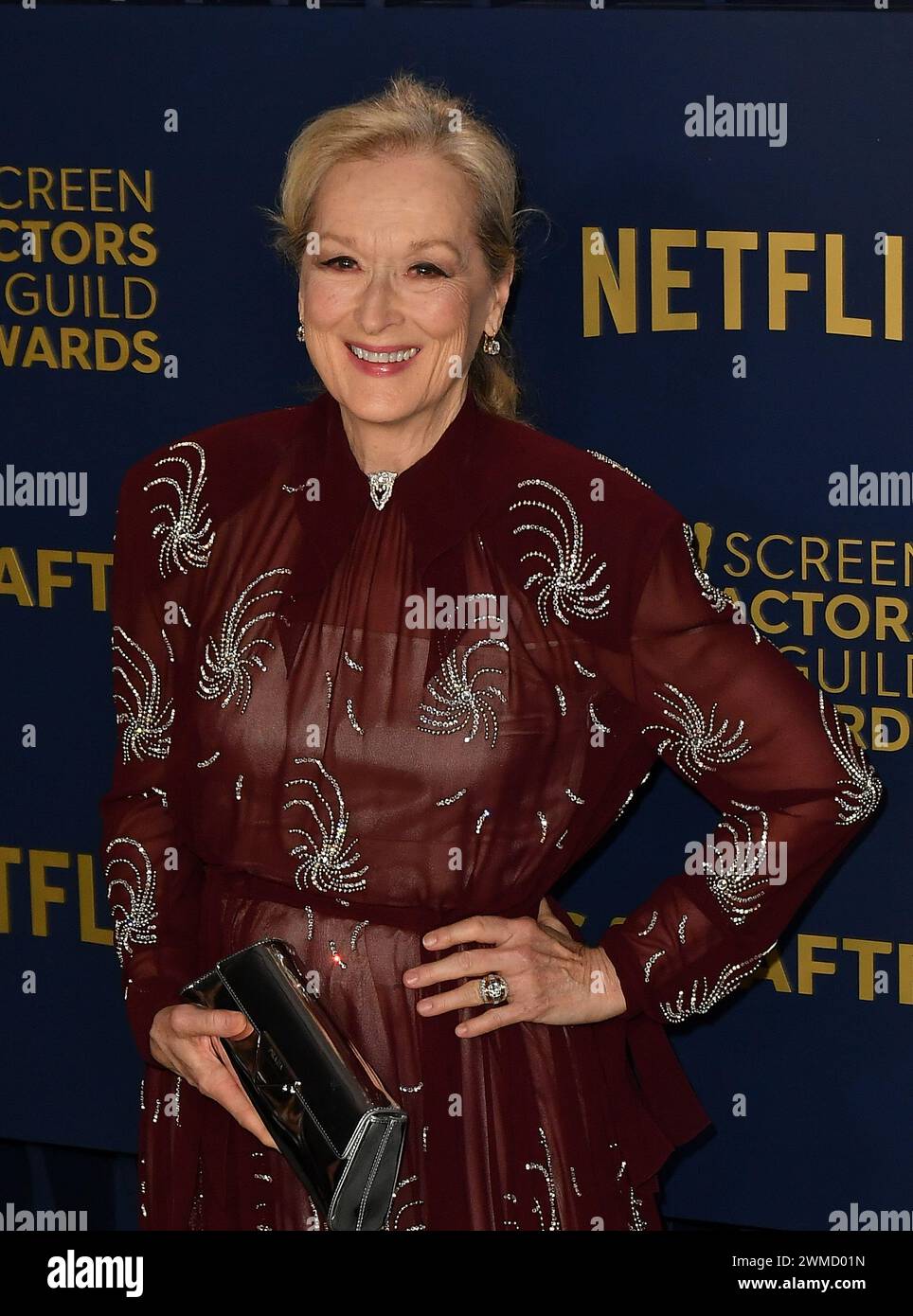 Los Angeles, USA. 25th Feb, 2024. Meryl Streep attends the 30th Annual ...