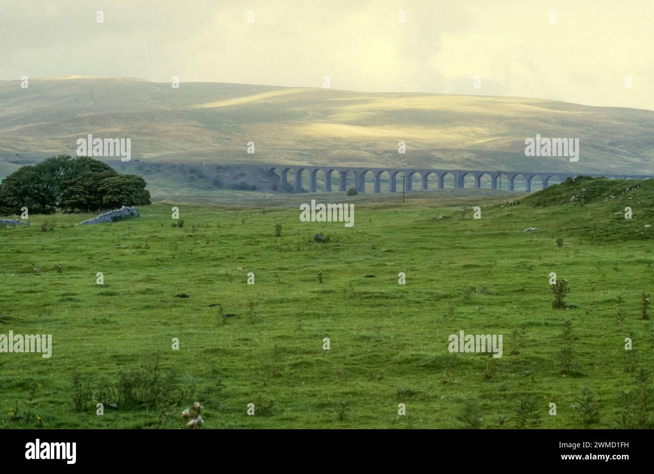 G batty hi-res stock photography and images - Alamy