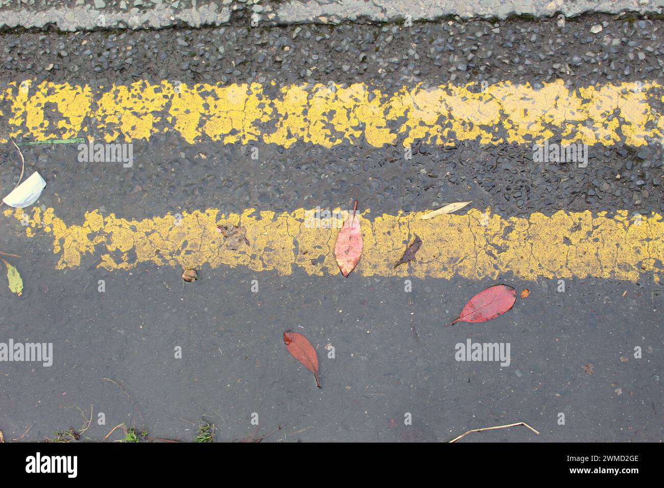 A photo of a double yellow road lines with a puddles and leaves and an ...