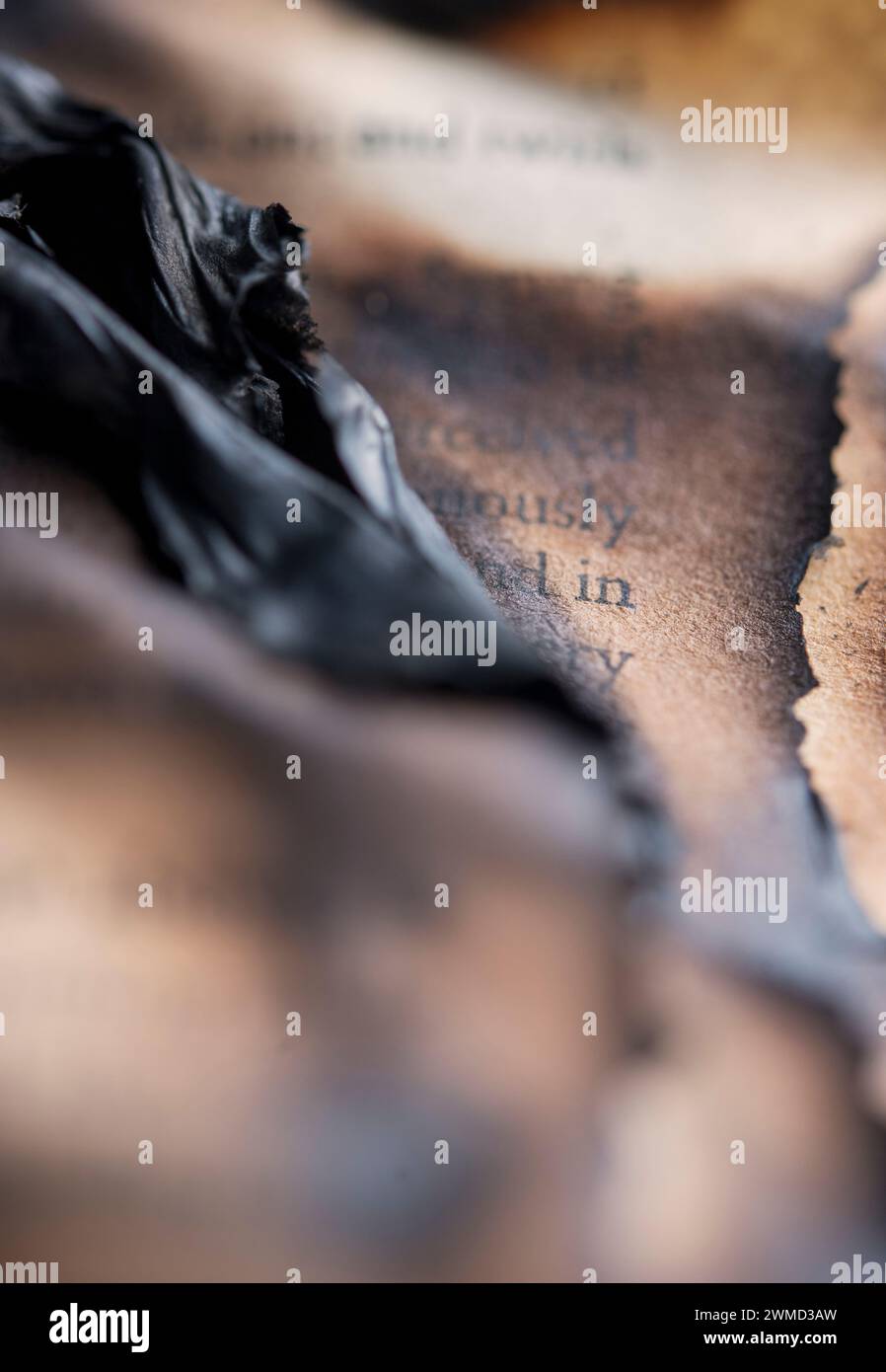 Book damage hi-res stock photography and images - Alamy