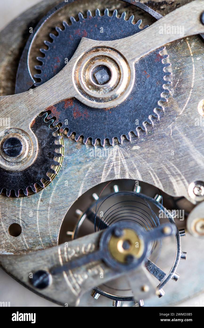 Detail of clockwork watch movement Stock Photo - Alamy