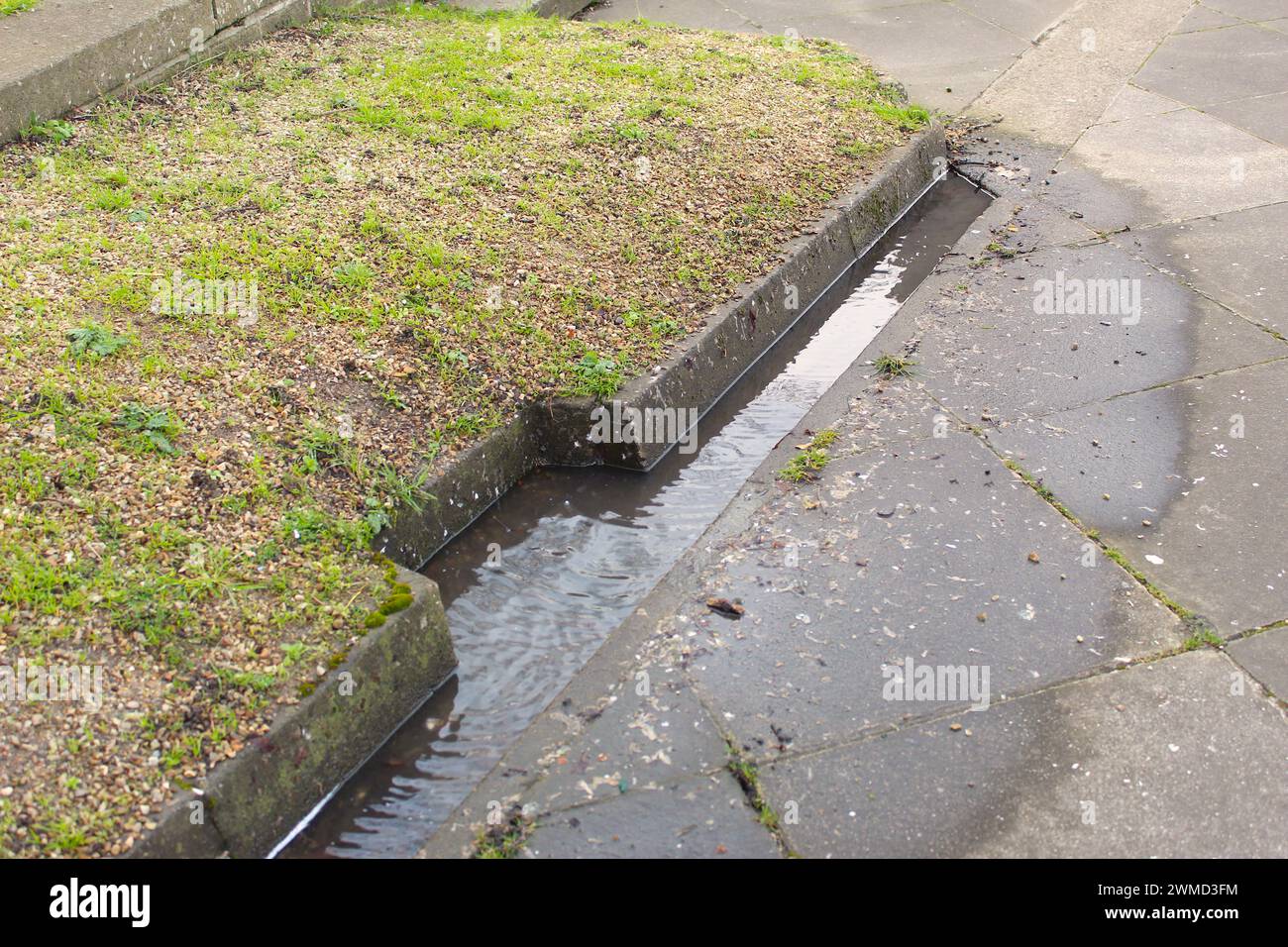 A close up photo of a small puddle gathering beside a path curb and a ...