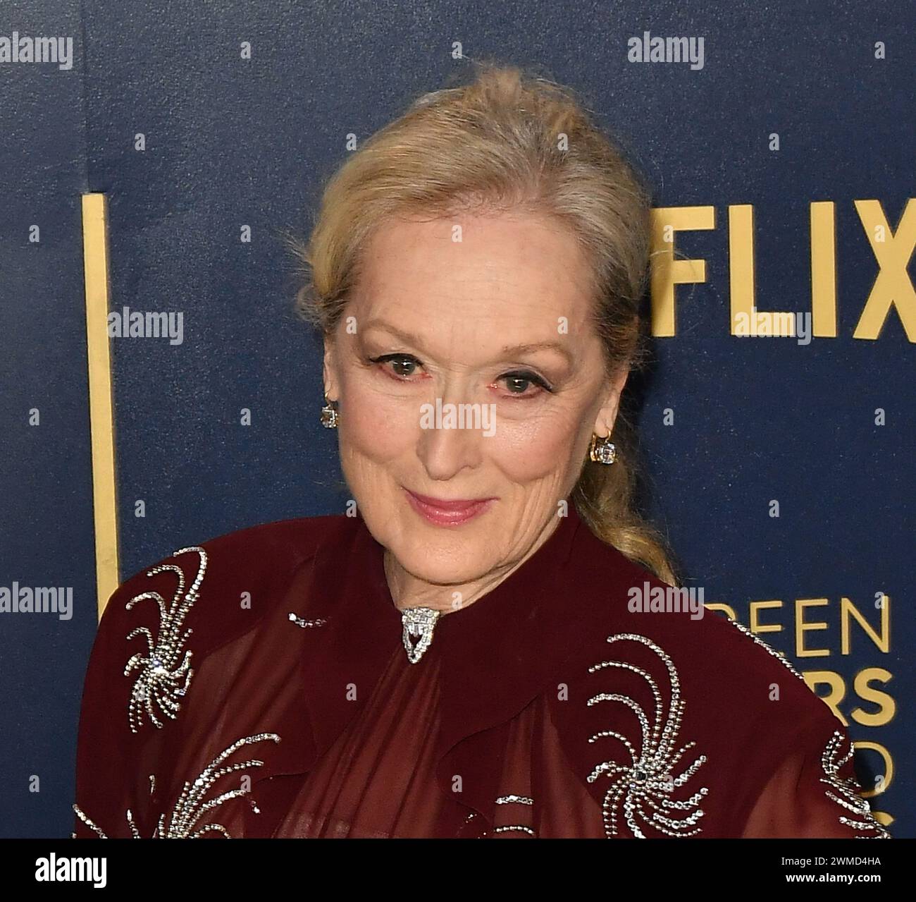 Los Angeles, USA. 25th Feb, 2024. Meryl Streep attends the 30th Annual ...