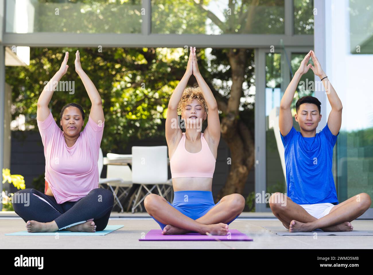 Diverse group practices yoga outdoors Stock Photo - Alamy