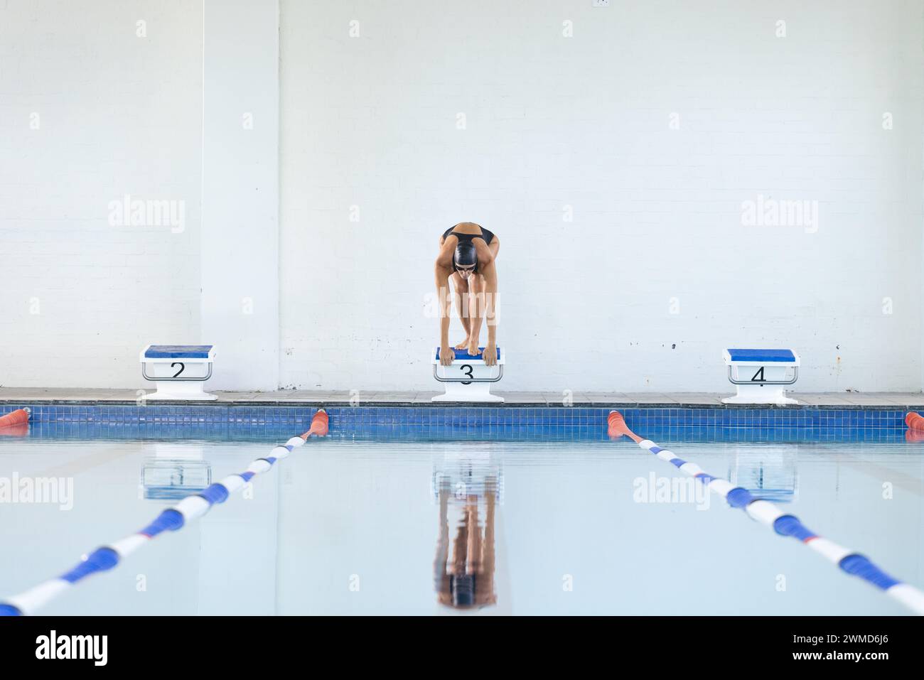 A swimmer prepares to dive at an indoor pool, with copy space Stock ...