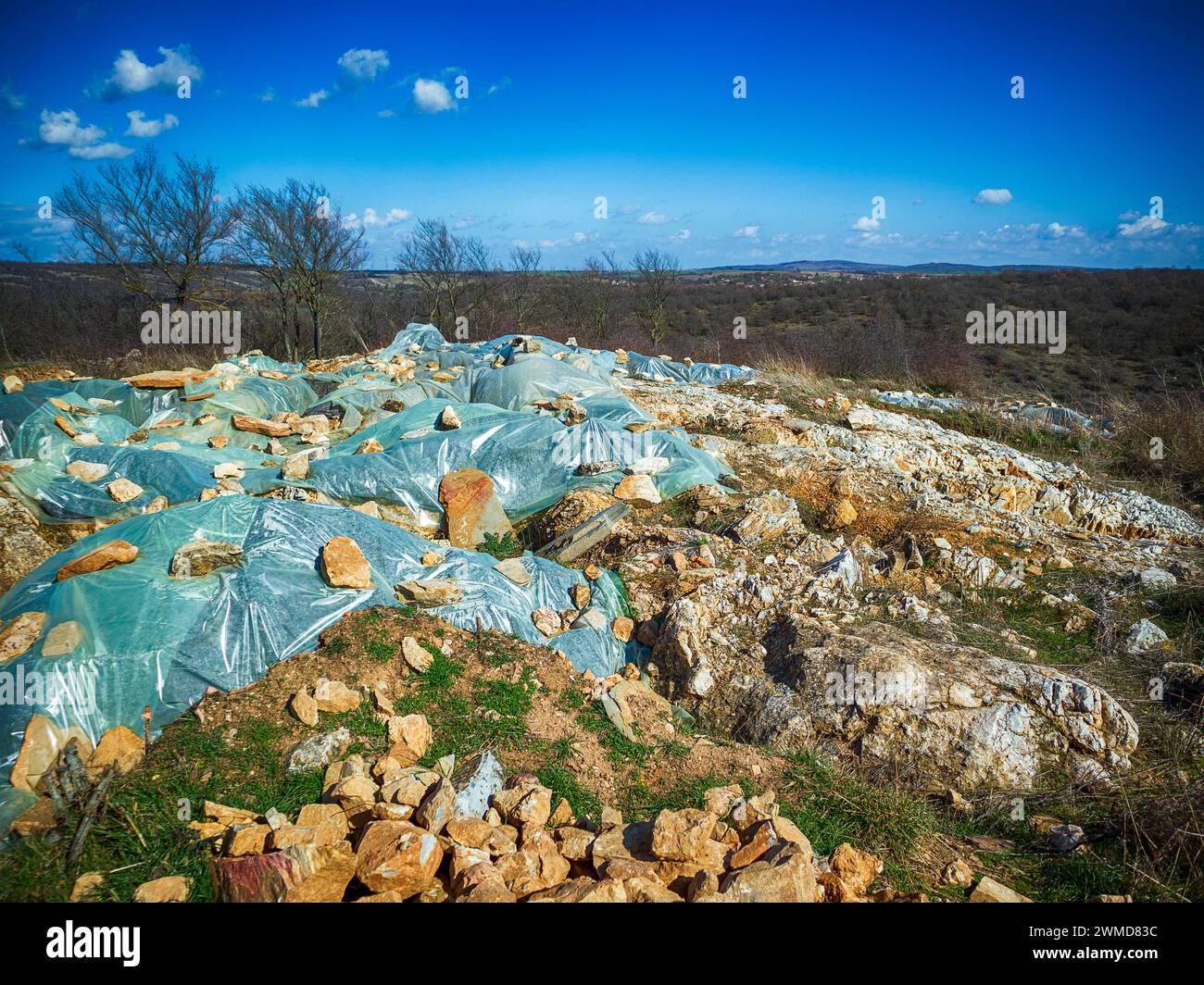 Versinikia hi-res stock photography and images - Alamy