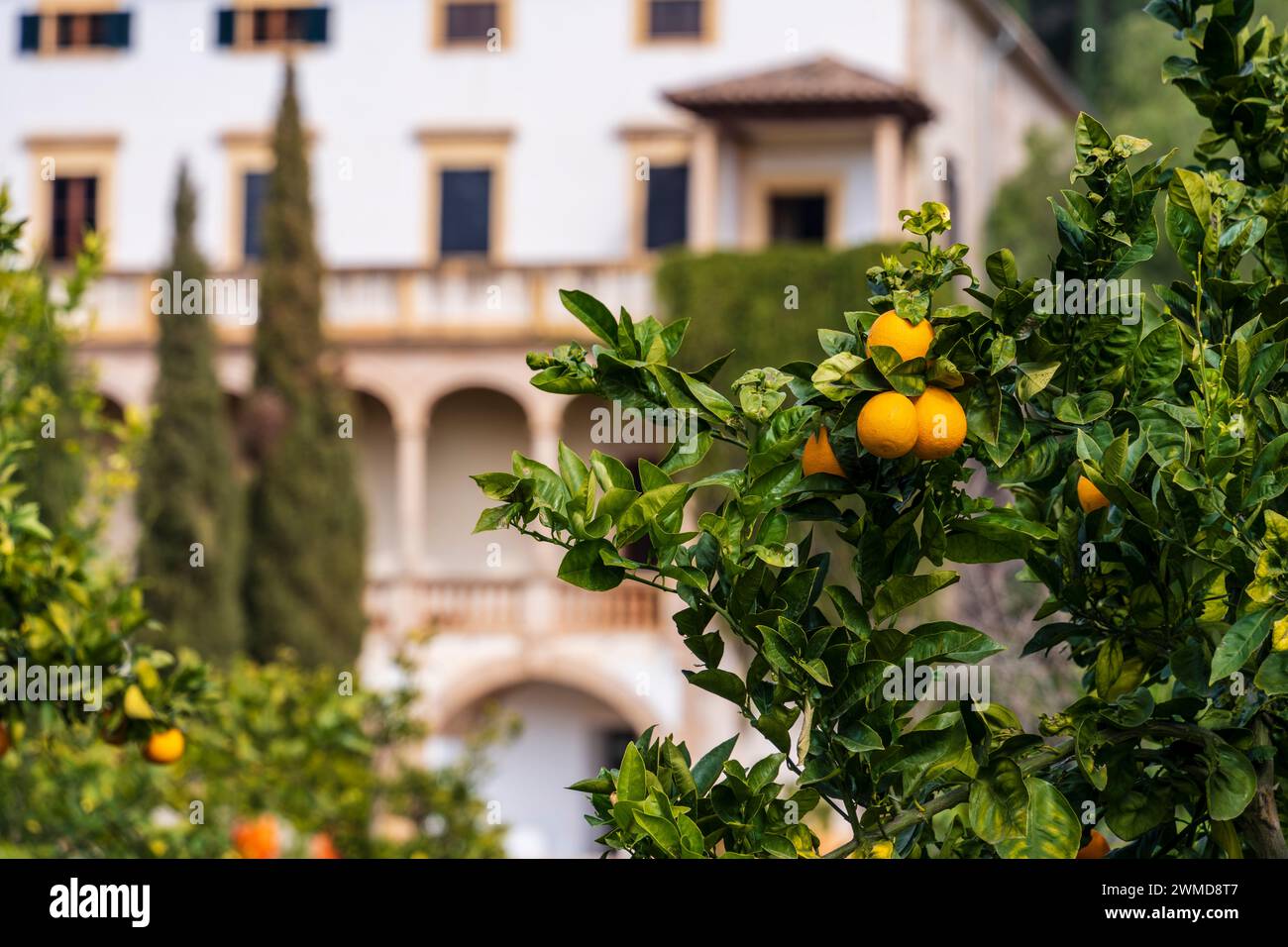 Raixa, public property, municipality of Bunyola, Majorca, Balearic ...