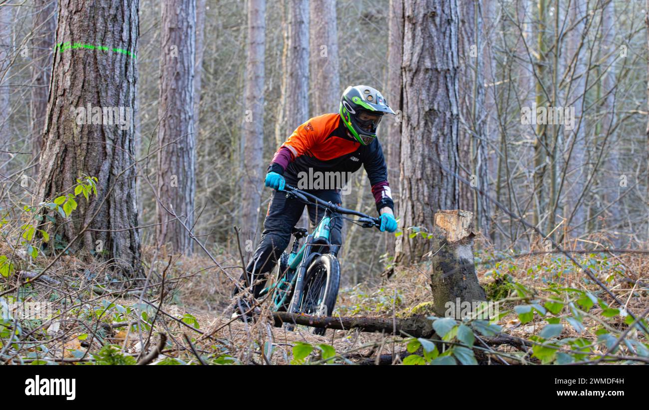 Day out in the forest. MTB trails. Mountain bike cycling in forest ...