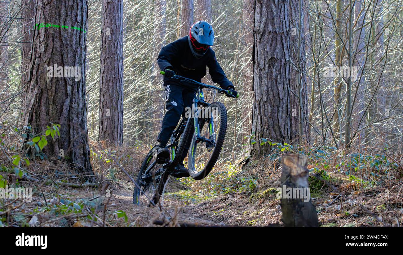 Day out in the forest. MTB trails. Mountain bike cycling in forest ...