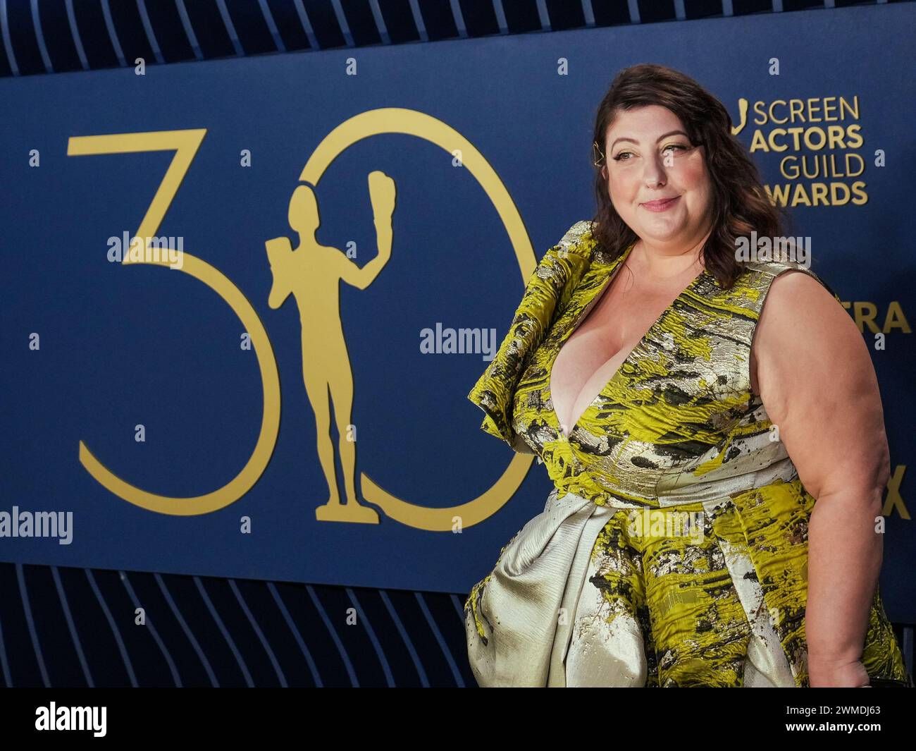 Los Angeles, USA. 24th Feb, 2024. Ashlie Atkinson walking on the red ...