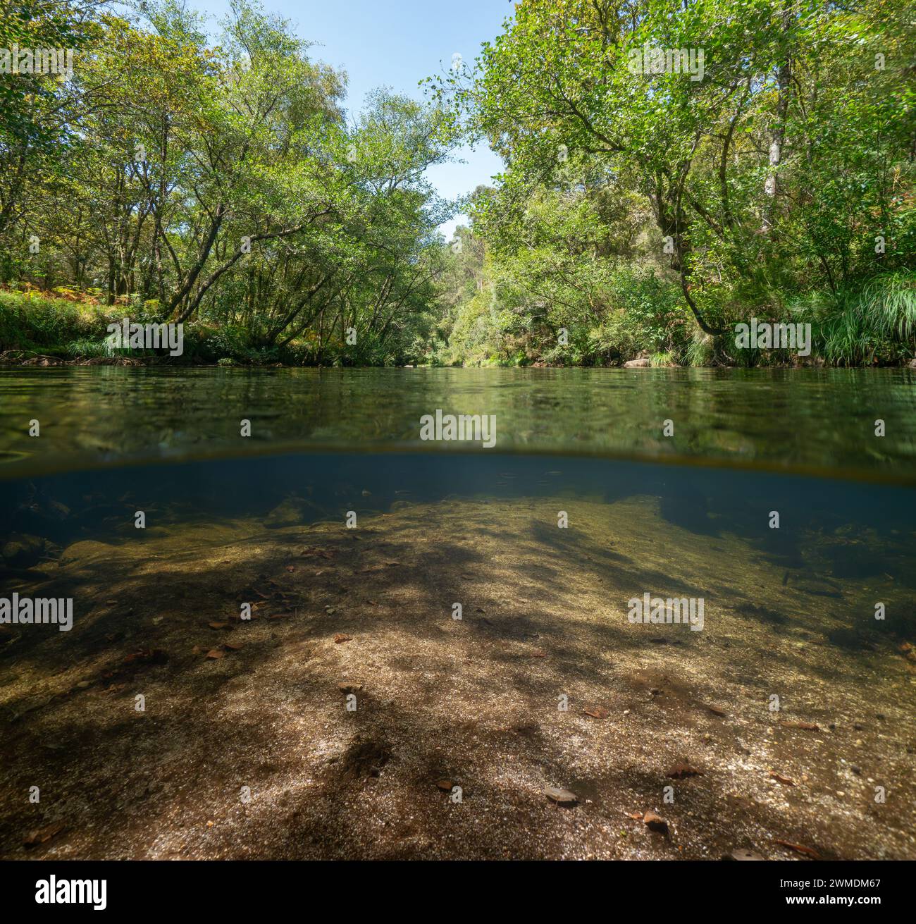 Split level freshwater hi-res stock photography and images - Alamy