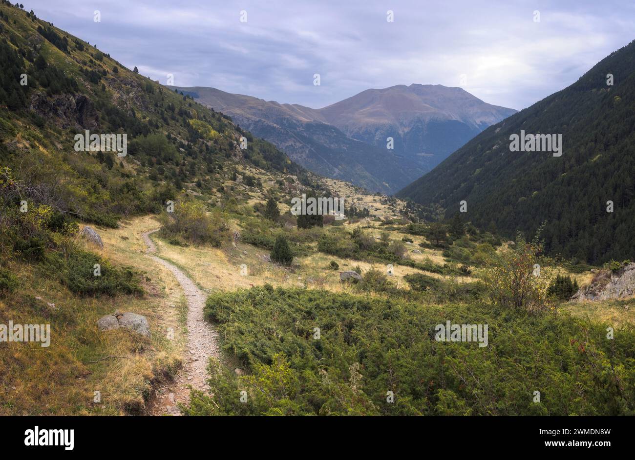 Valley in Vall Fosca in the Catalan Pyrenees, featuring trees and ...