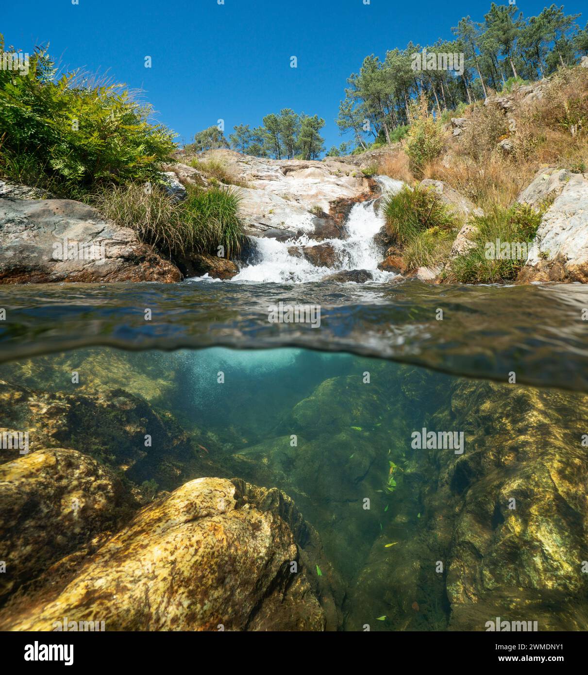 Underwater view flowing water in hi-res stock photography and images ...