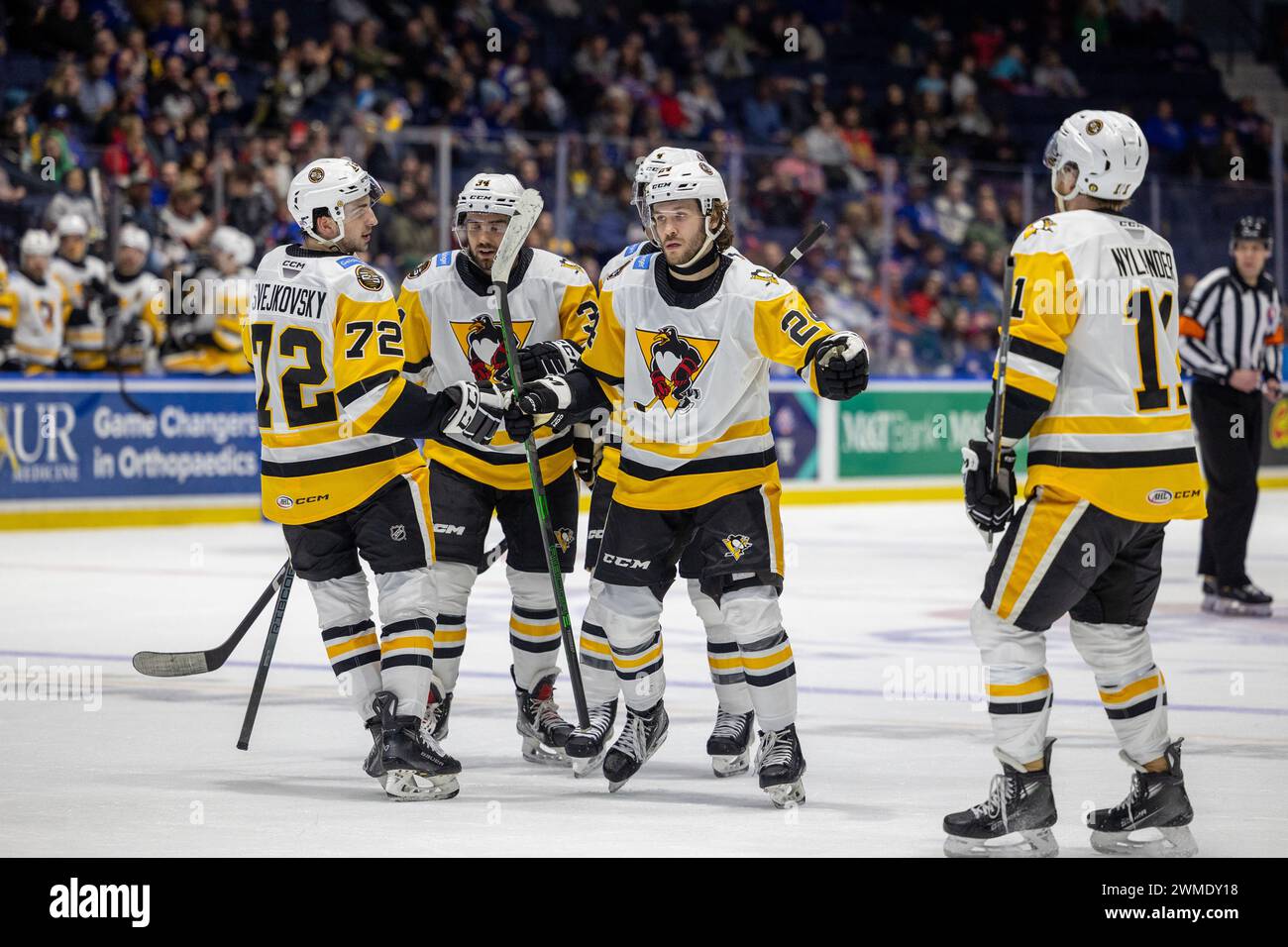 February 16th, 2024: Wilkes Barre Scranton Penguins players celebrate a ...