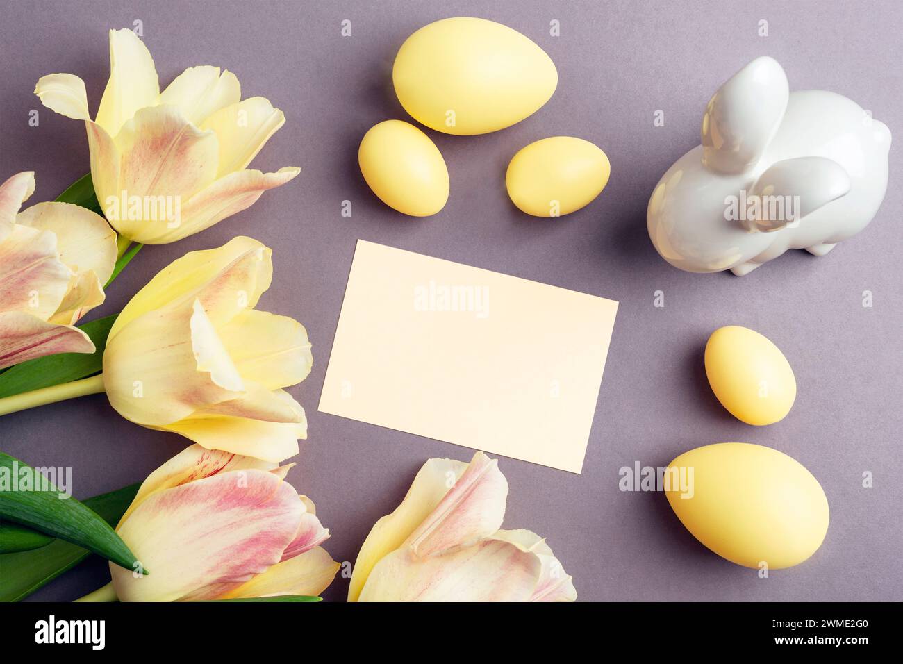 Easter background with blank card, yellow Easter eggs, bunny and tulip flowers on gray table ...