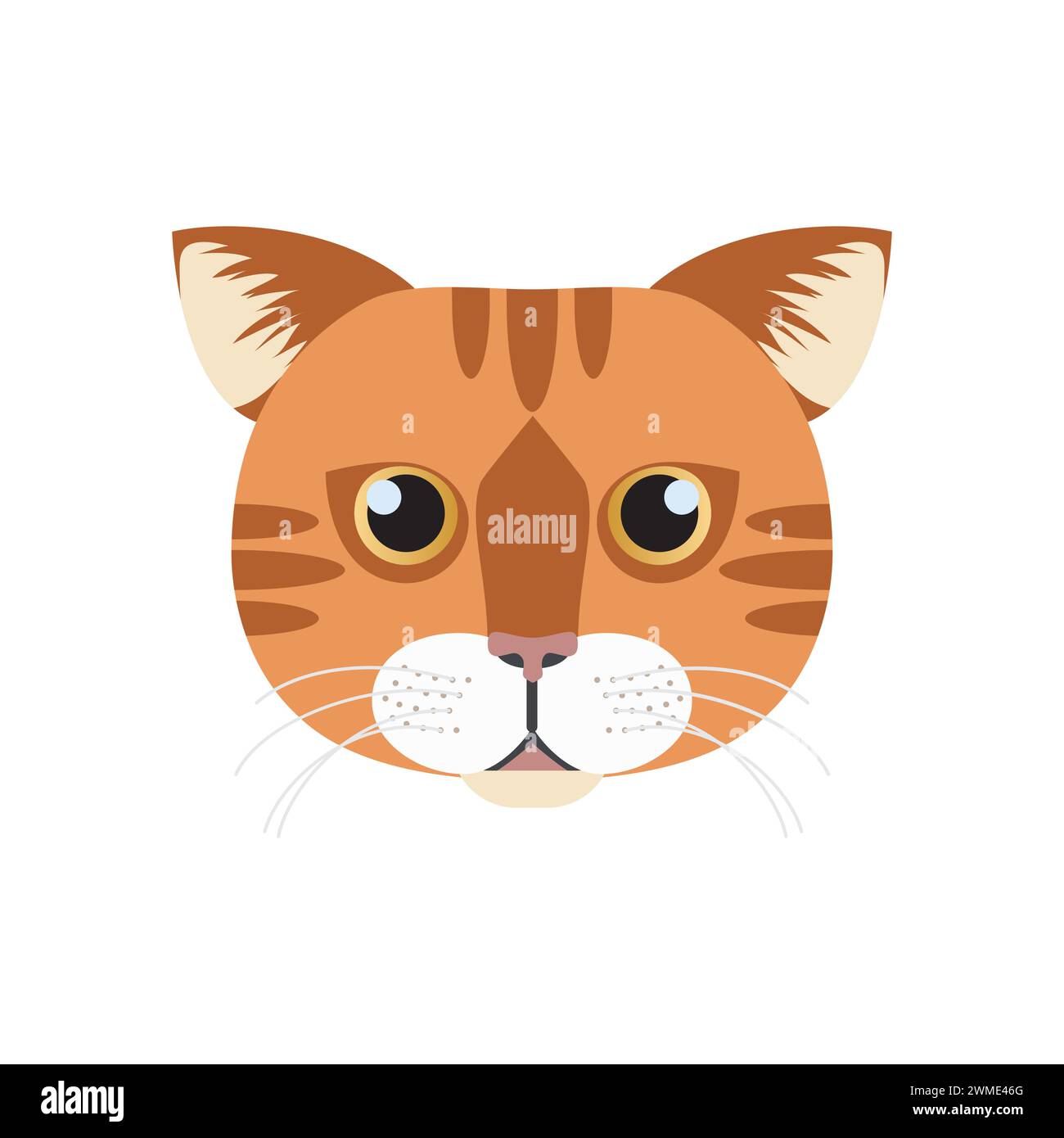 Abyssinian cat face, tabby head of domestic red short haired kitty ...